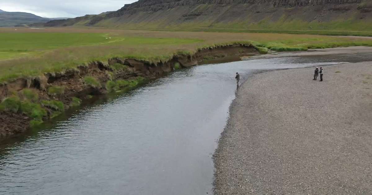 Borgarbyggð wants input on fish farming bill - RÚV.is