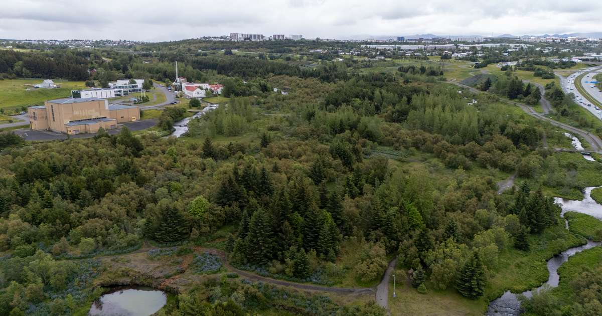 Hlé gert á leit að Sigríði - RÚV.is