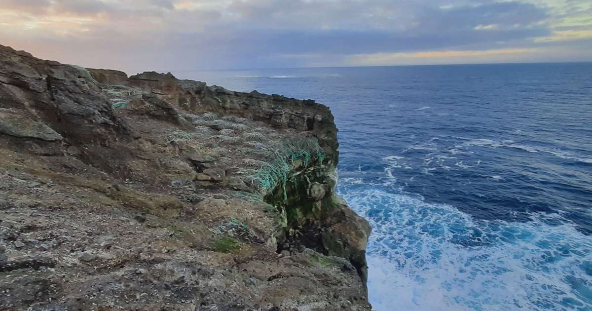 Nearly 40 earthquakes in the Reykjanes Ridge swarm - RÚV.is