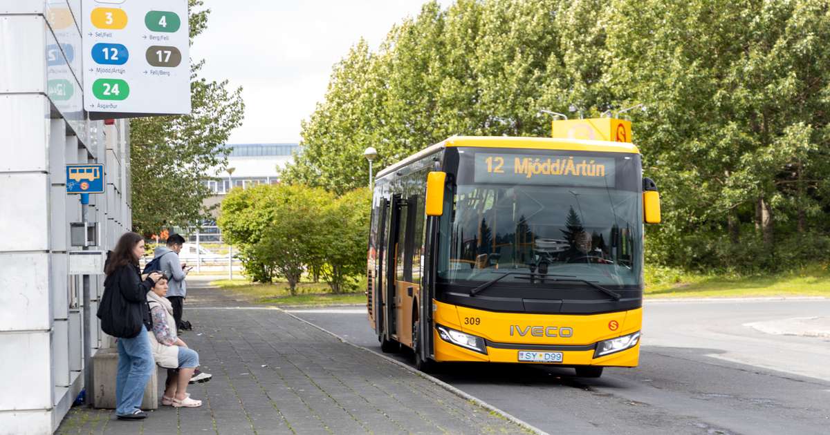 No concern over Chinese bus stops - RÚV.is