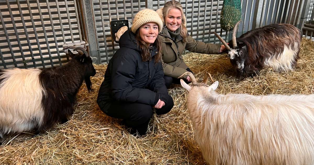 RÚV English Radio - REYKJAVÍK PARK AND ZOO - RÚV.is