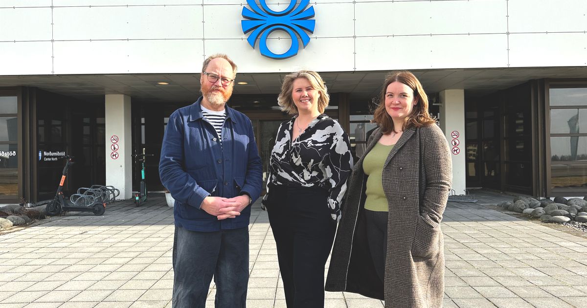 Íbúð í kolakjallara og handaband stríðandi fylkinga meðal tilnefndra ...