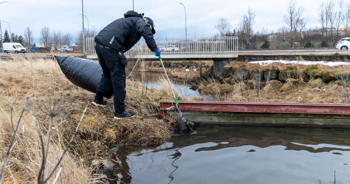 „Ógnvænleg staða“ - RÚV.is