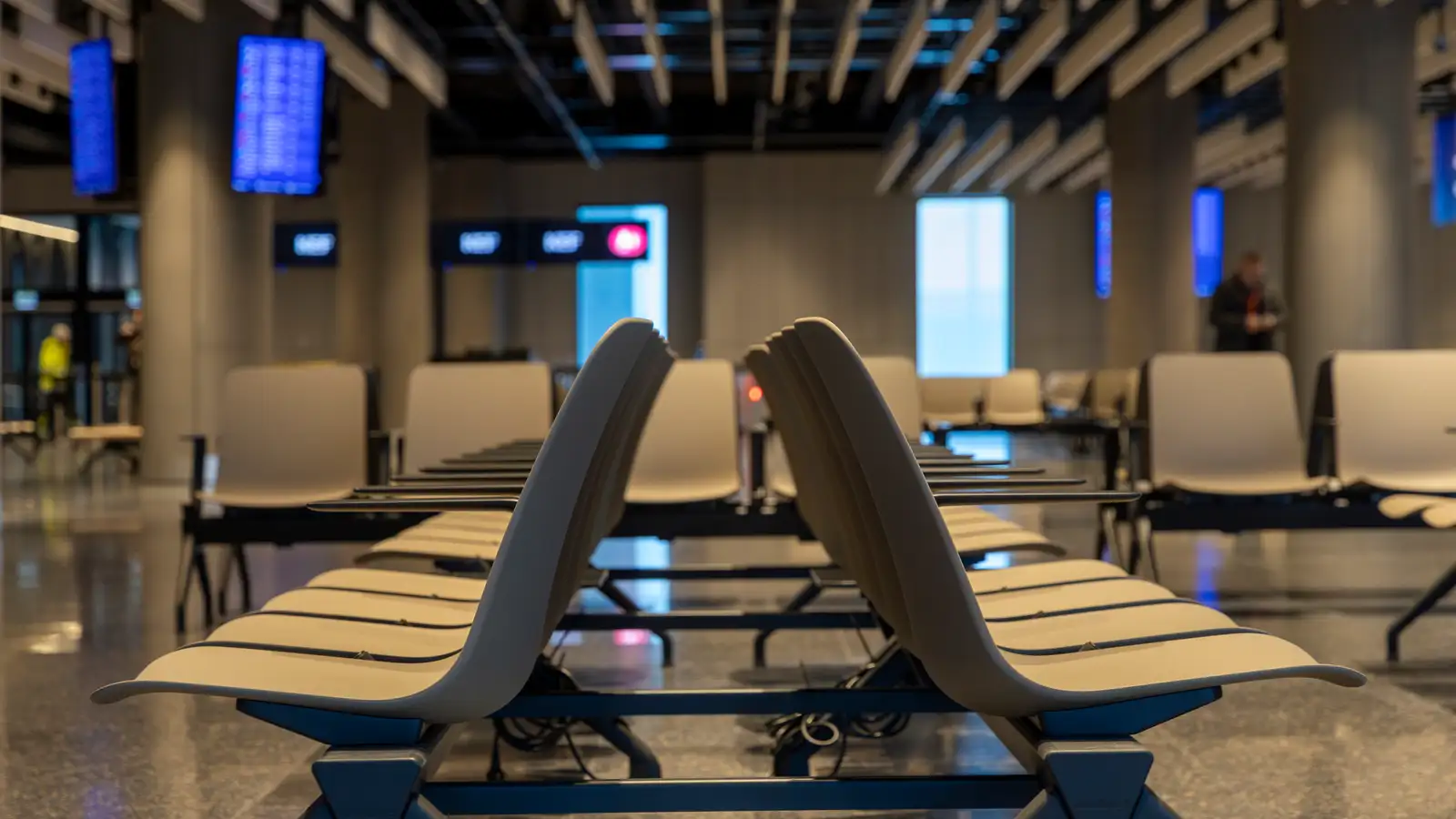 East Iceland: pair of grebes nesting in the summer sun - RÚV.is