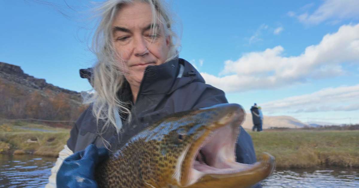 „Eigum við ekki bara að kíkja á gamla karlinn þarna með urriðana?“ - RÚV.is