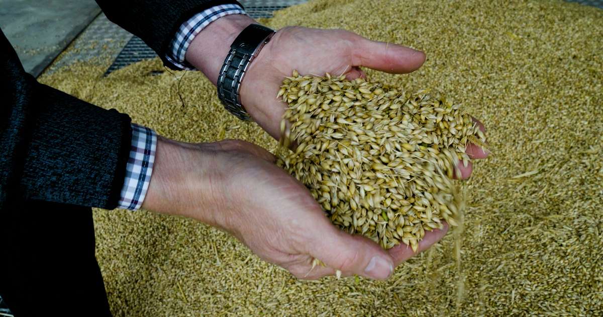 Fæðuöryggi Íslands skoðað til lengri tíma – neyðarbirgðir skipta sköpum ...