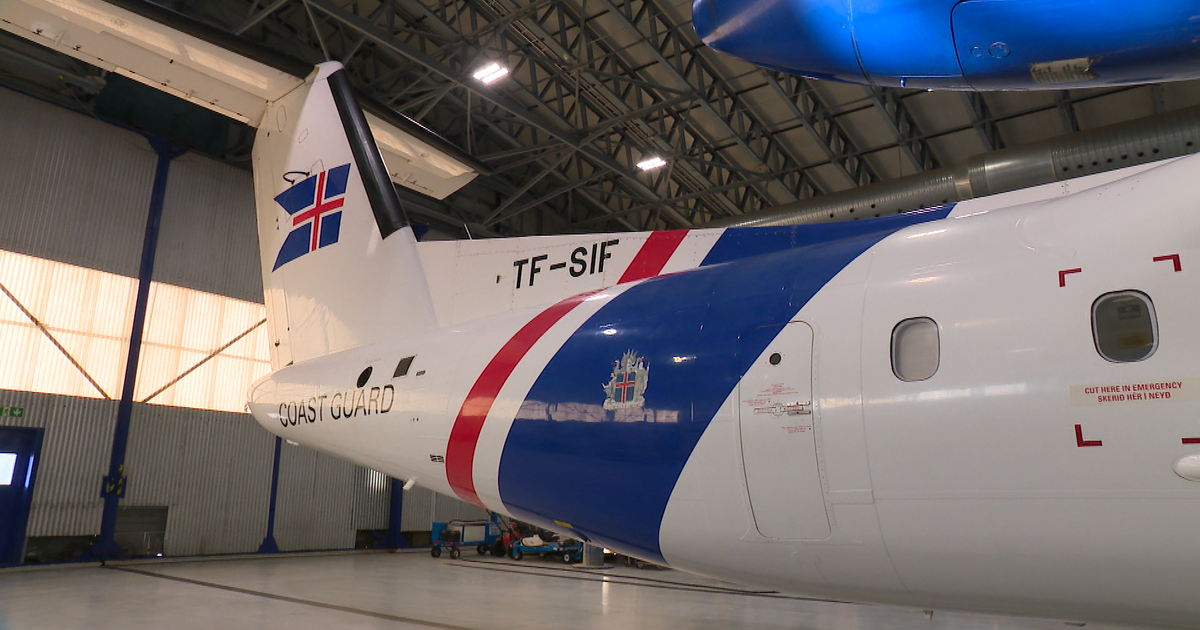 TF-SIF grounded all summer - RÚV.is