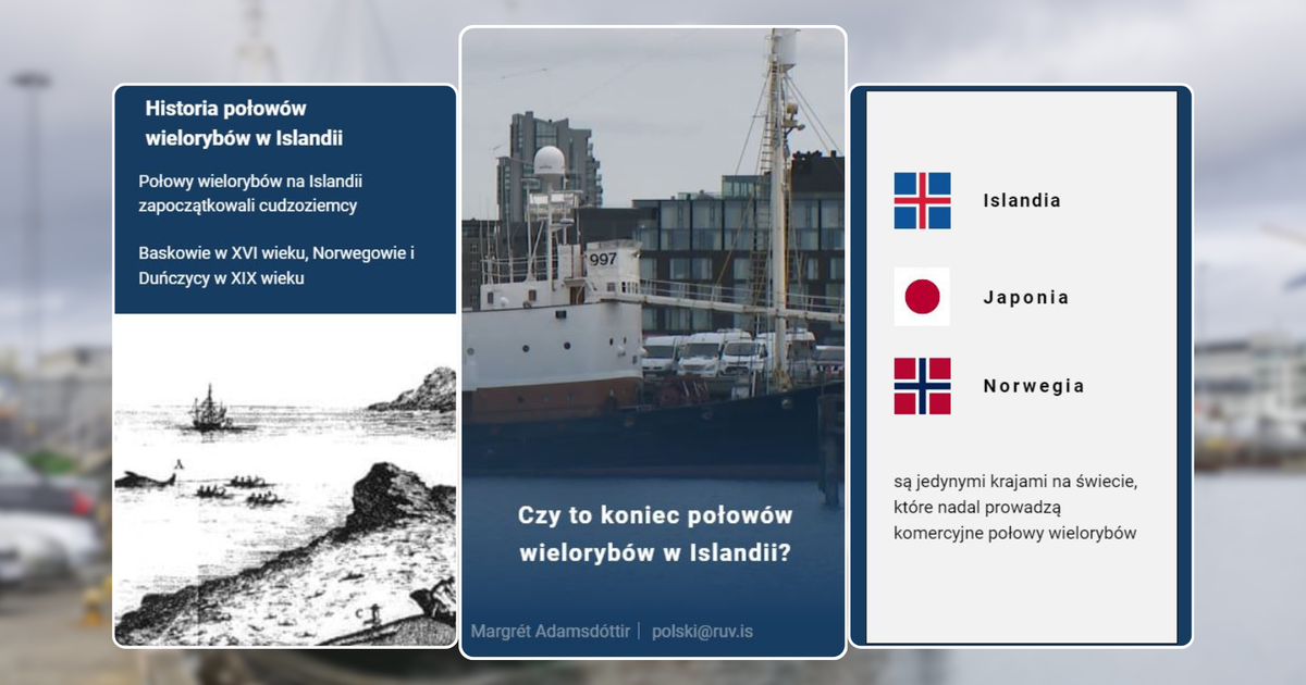 Framtíð hvalveiða við Ísland - RÚV.is