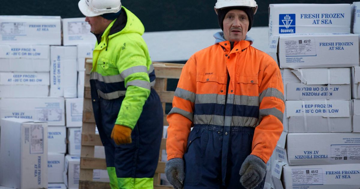 Frosinn fiskur, Ferrante og Jón forseti - RÚV.is