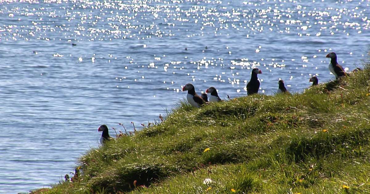 700 ára gömul ákvæði réðu úrslitum í þjóðlendumáli - RÚV.is