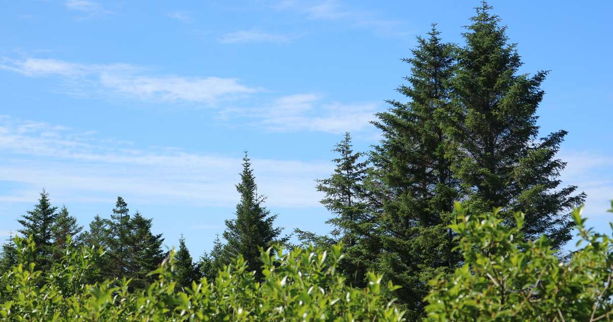 Veðurgæðunum misjafnt skipt - RÚV.is