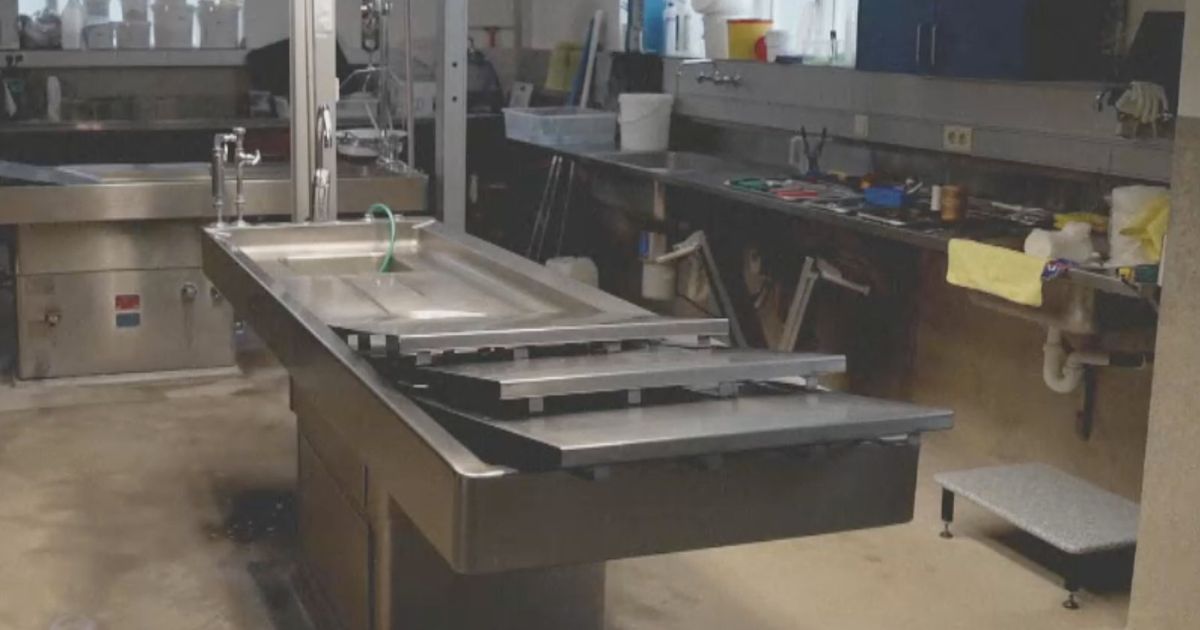 More autopsies here than in other Nordic countries - RÚV.is