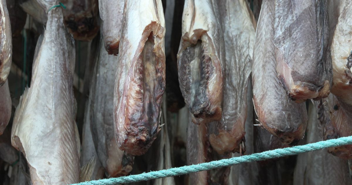 Siginn fiskur er matarhefð sem er að gleymast - RÚV.is