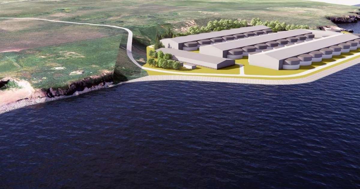 Vilja framleiða yfir 20 þúsund tonn af fiski í landeldi á Hauganesi ...