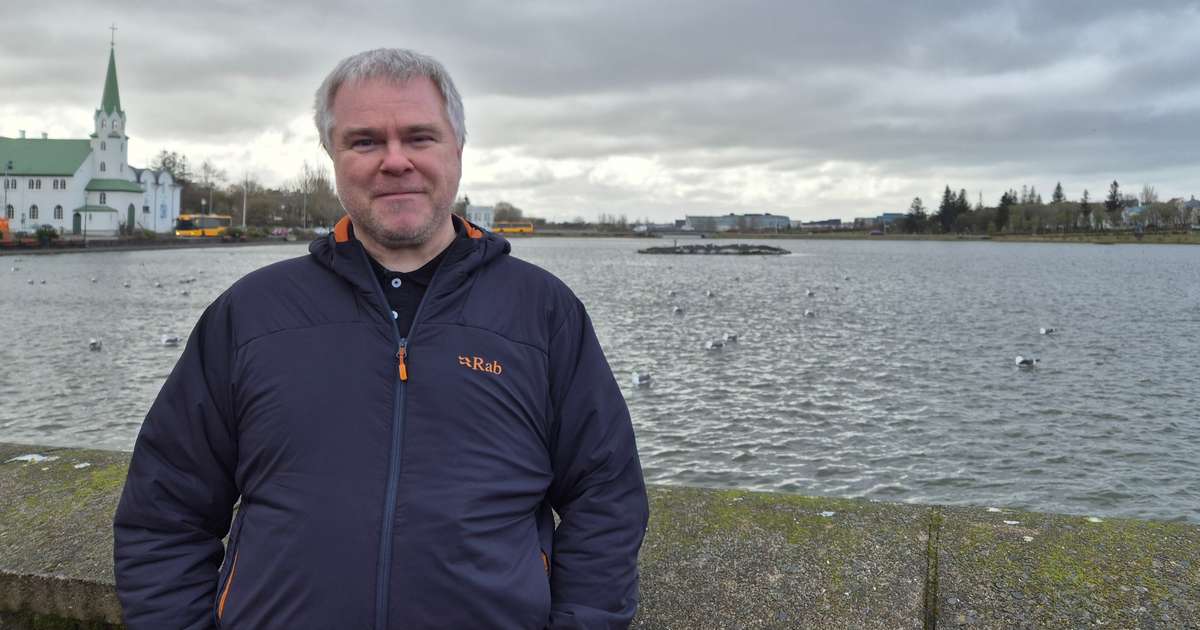 Fuglarnir við Tjörnina fá næga fæðu á sumrin - RÚV.is