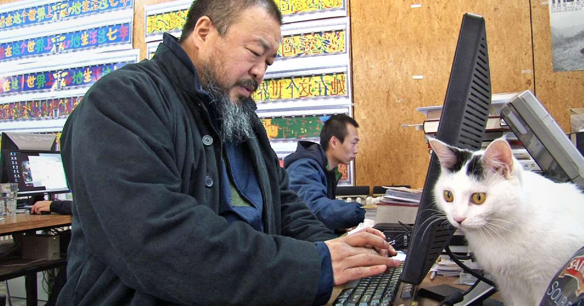 Animality: Sýnir hvernig tilveran getur verið hreint helvíti fyrir ...