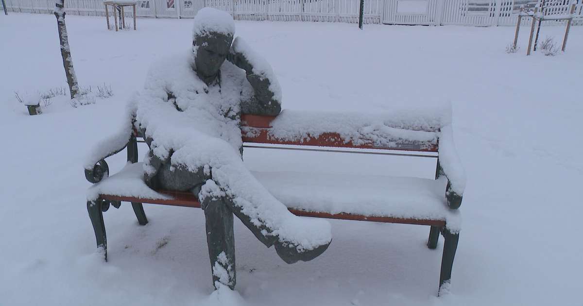 Widespread snowfall across country - RÚV.is