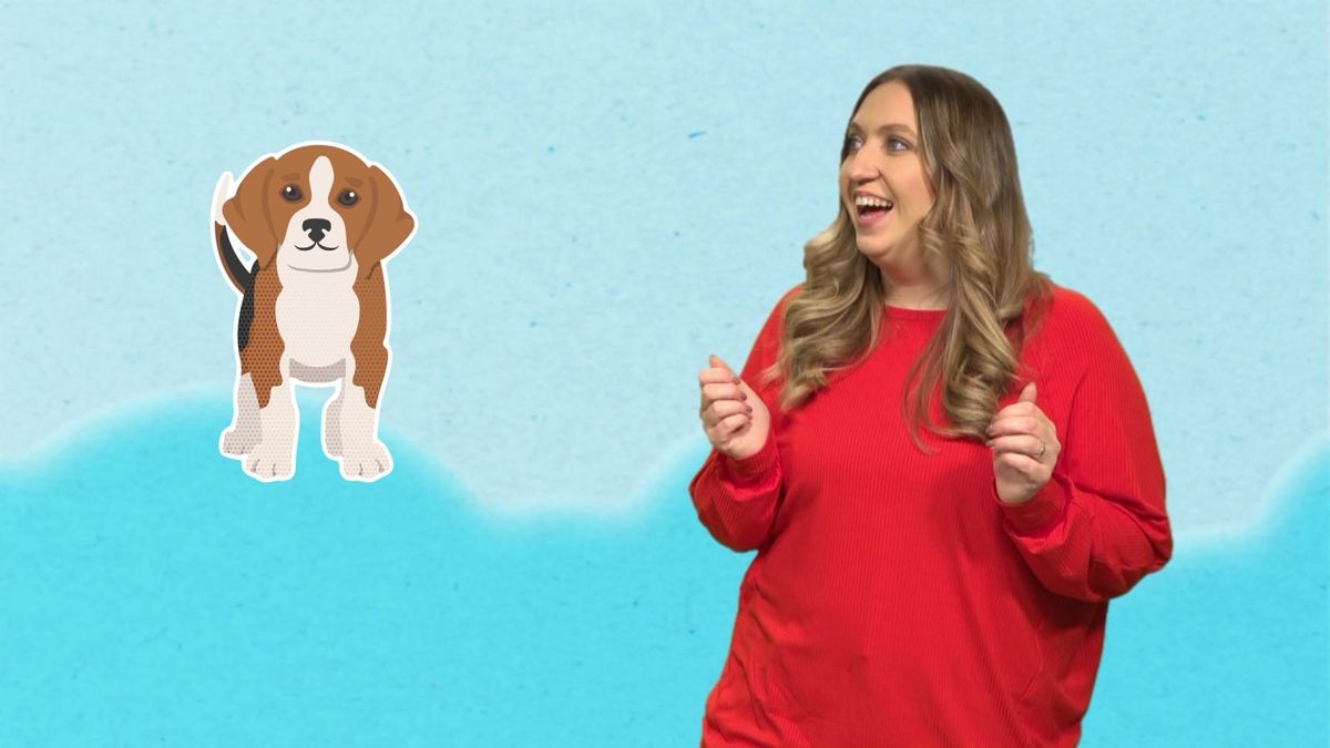 Smástund II - Spilari RÚV