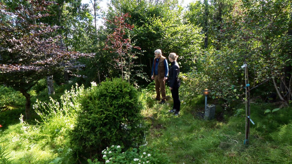 Landinn - Spilari RÚV