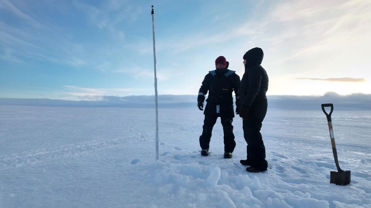 Landinn - Spilari RÚV