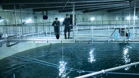 RÚV Orð – Learn Icelandic for free by watching Landinn