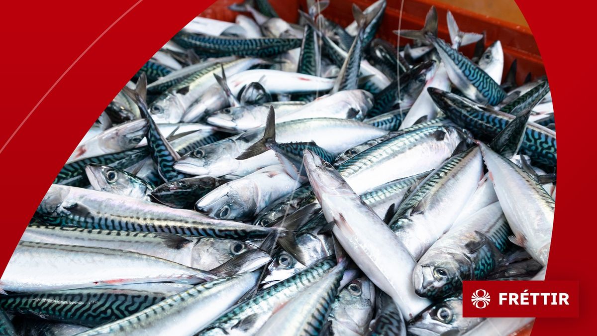 Fréttir - Spilari RÚV