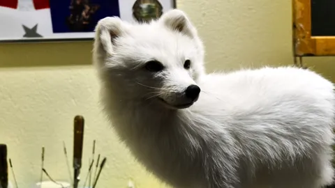 RÚV Orð – Learn Icelandic for free by watching Landinn